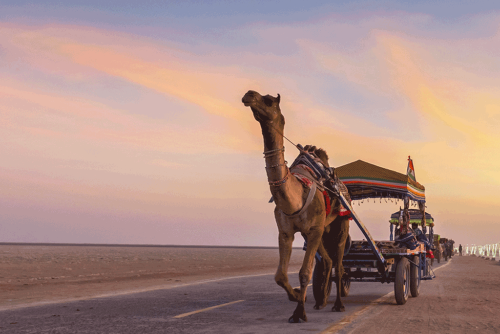 Thank You - Rann Utsav Tent City Online Booking 2023-2024